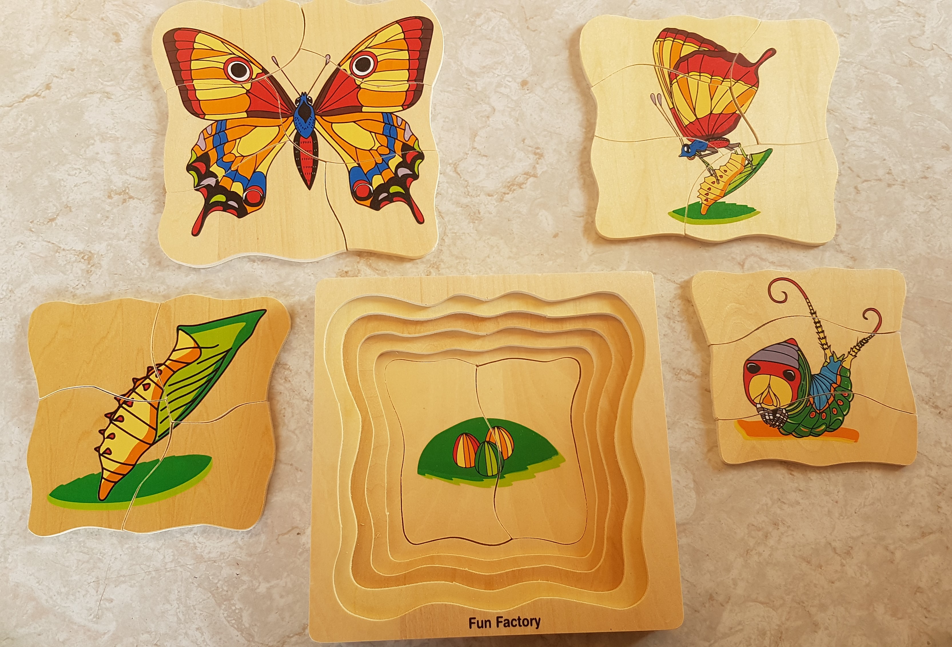 Lifecycle Butterfly Puzzle